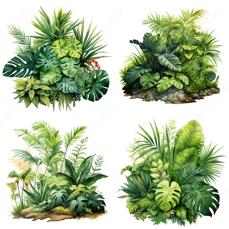 24 Watercolor Tropical Greenery Clipart, Tropical Leaves, Monstera ...
