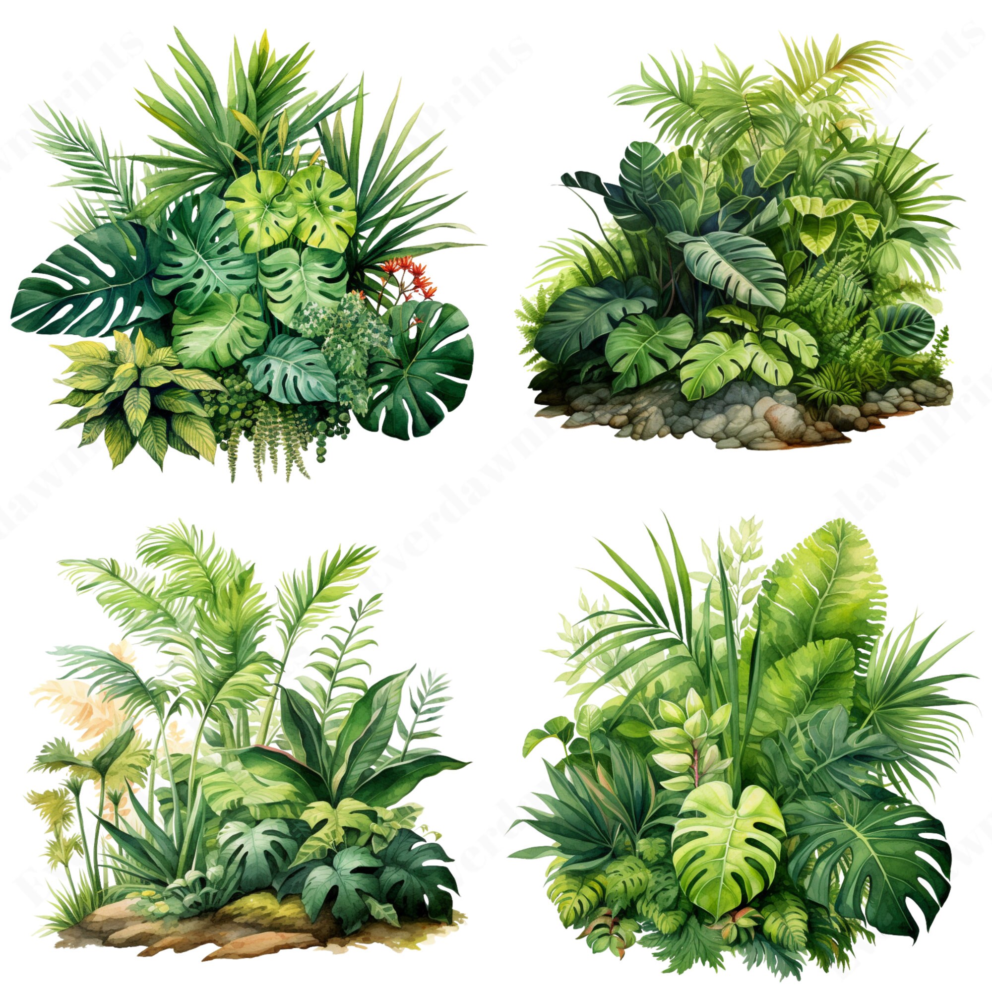 24 Watercolor Tropical Greenery Clipart – Lush Jungle Leaves, Monstera ...