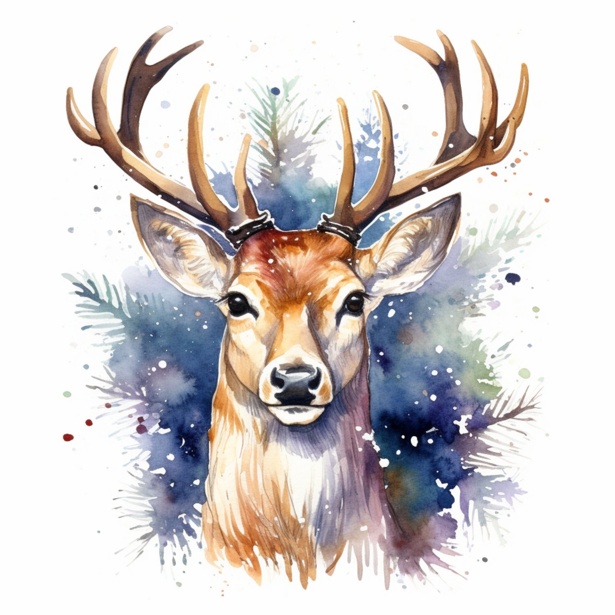 20 Weihnachten Hirsch Aquarell Clipart, 300 dpi, Hirsch Clipart ...