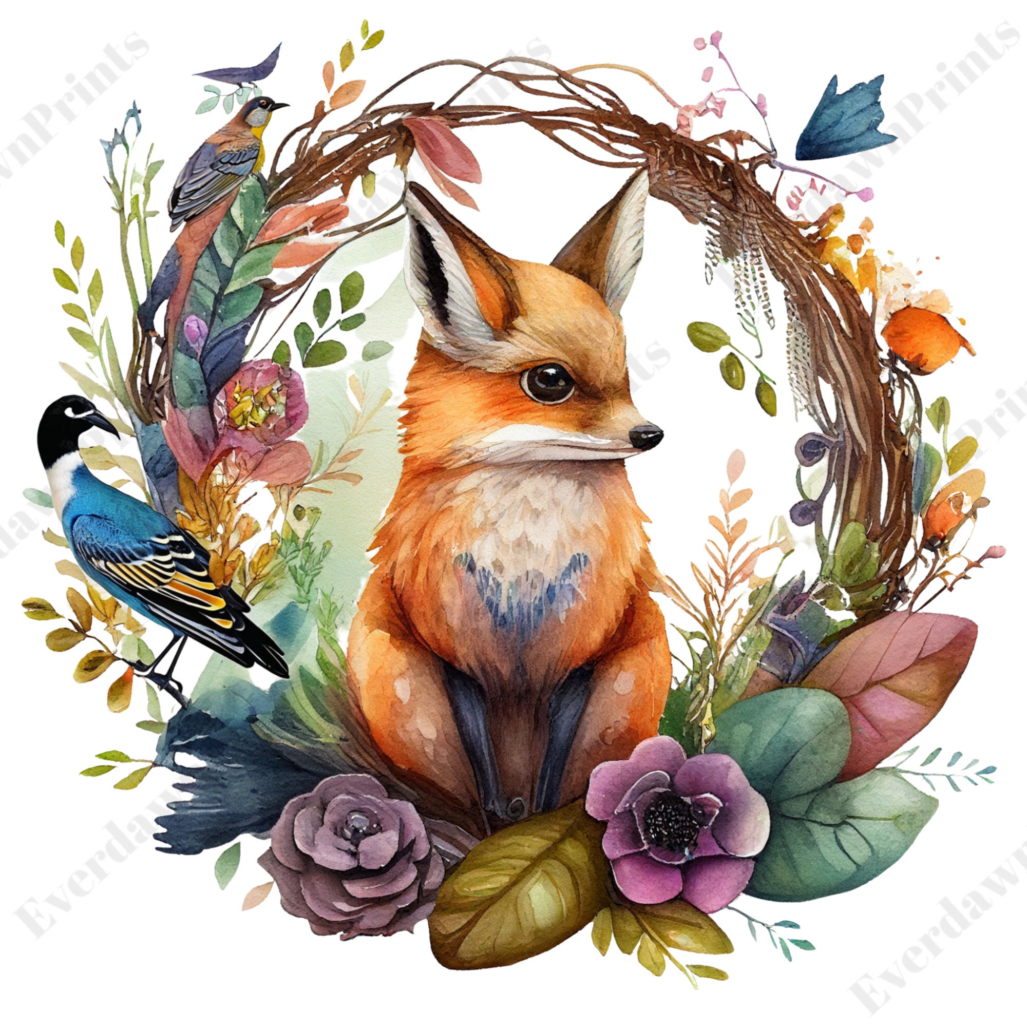 15 Woodland Animals Clipart, High Quality Transparent PNG, Watercolor ...