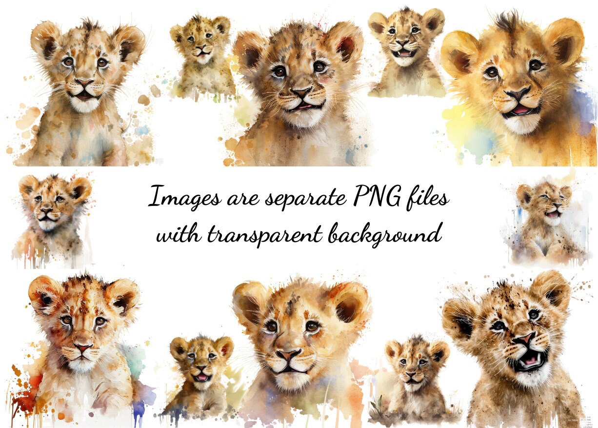 Baby Lion Watercolor Clipart, 26 PNG Files (digital Download) - Etsy