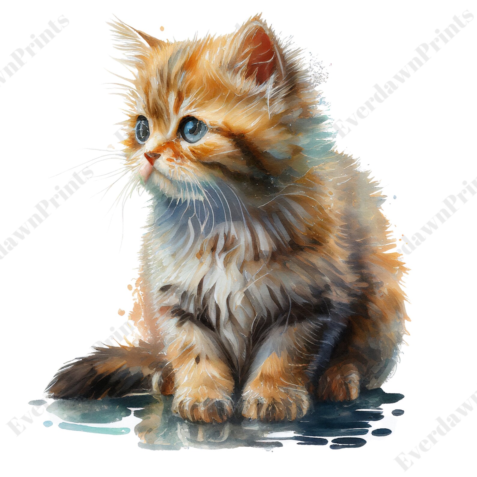 15 Kitten Clipart High Quality Transparent PNG Small Cat - Etsy