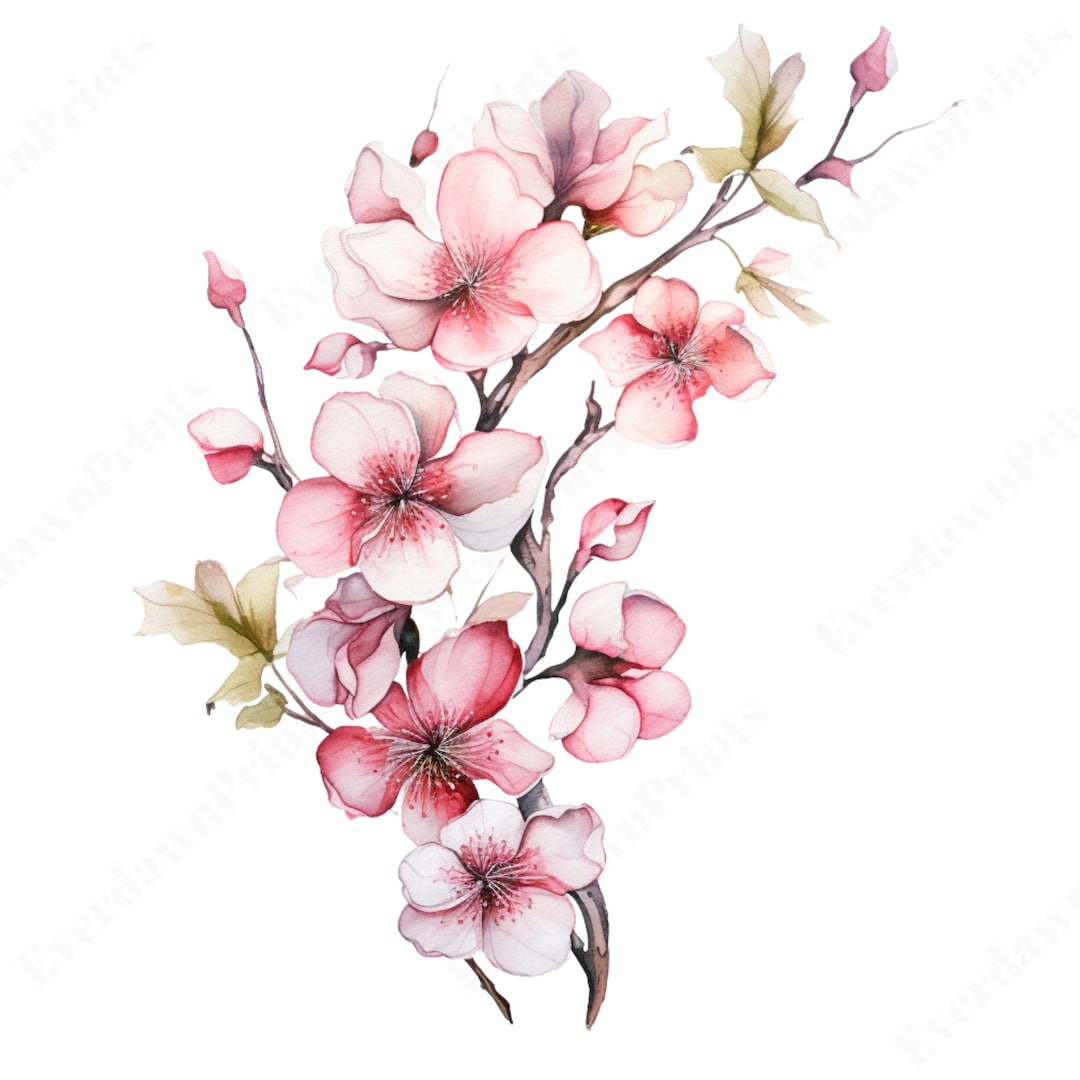Watercolor Cherry Blossom Clipart: Sakura Floral Set (digital Download ...