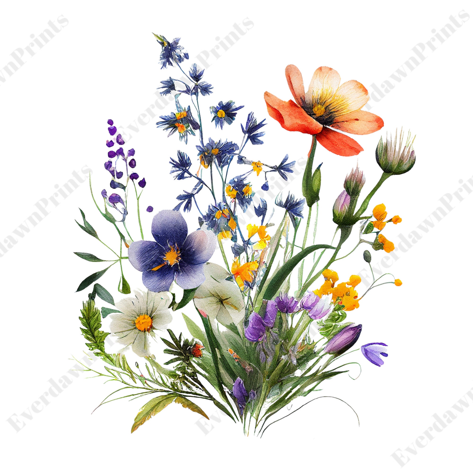 18 Watercolor Meadow Flowers Clipart High Quality PNG Card - Etsy