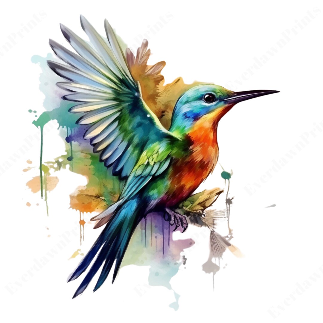 25 Watercolor Colorful Bird Clipart, High Quality Transparent Pngs ...