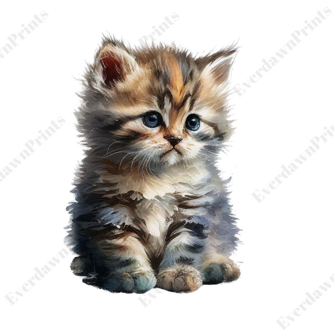 15 Kitten Clipart, High Quality Transparent PNG, Small Cat PNG, Cat PNG ...