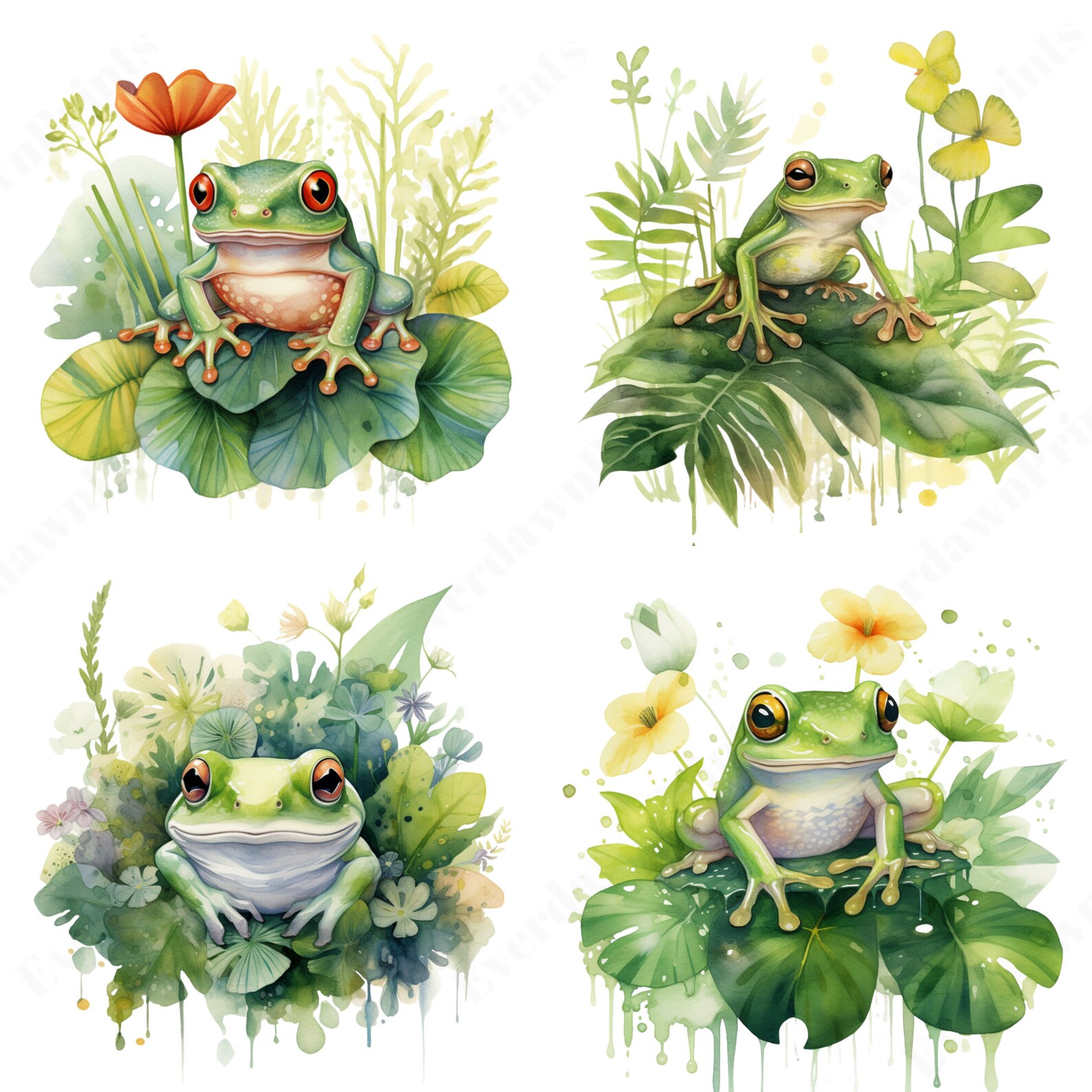 20 Rainforest Frog Clipart, High Quality Transparent PNG, Watercolor ...