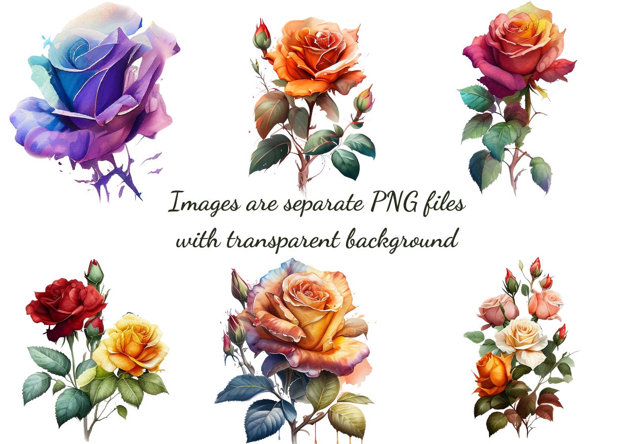 38 Colorful Rose Clipart, Watercolor, High Quality Transparent PNG ...