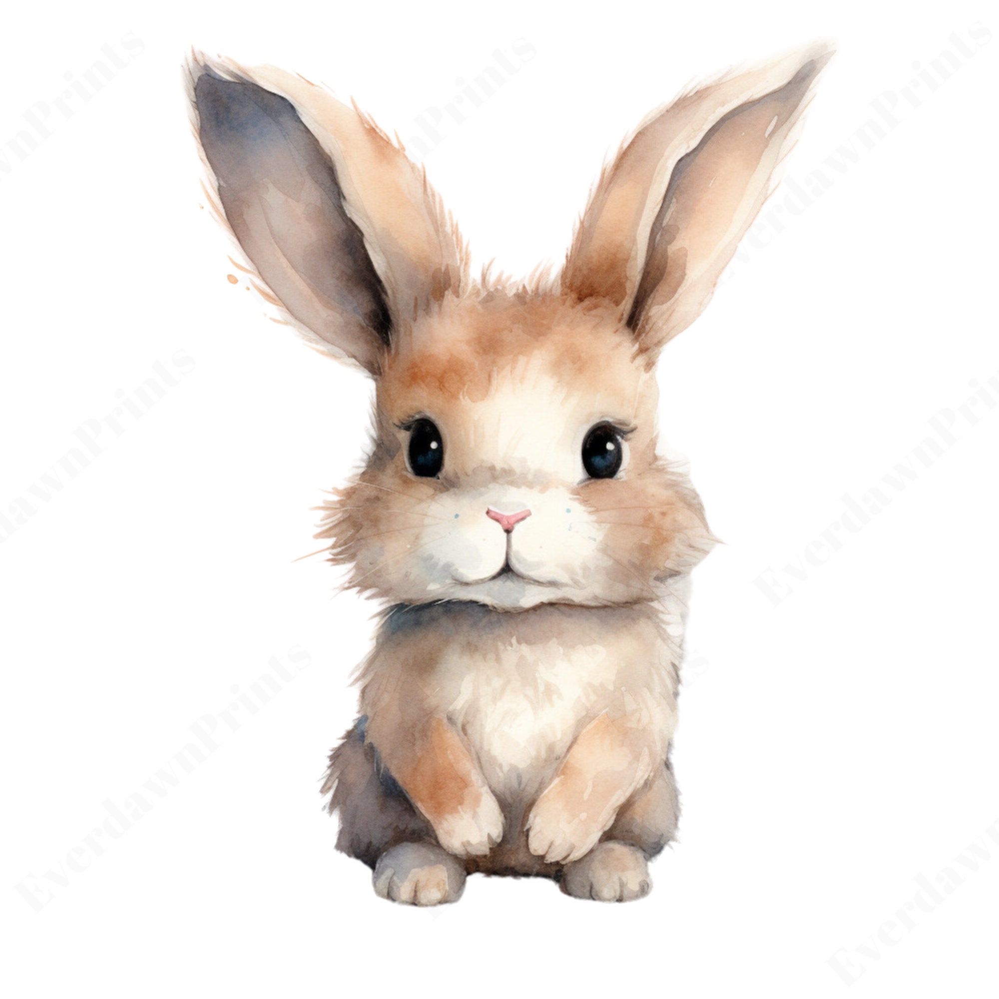 20 Watercolor Cute Bunny Clipart, Transparent, High Quality Pngs ...