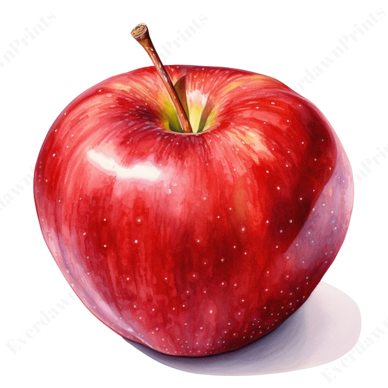 Watercolor Apple Clipart, 24 High Quality Transparent PNG, Apple PNG ...