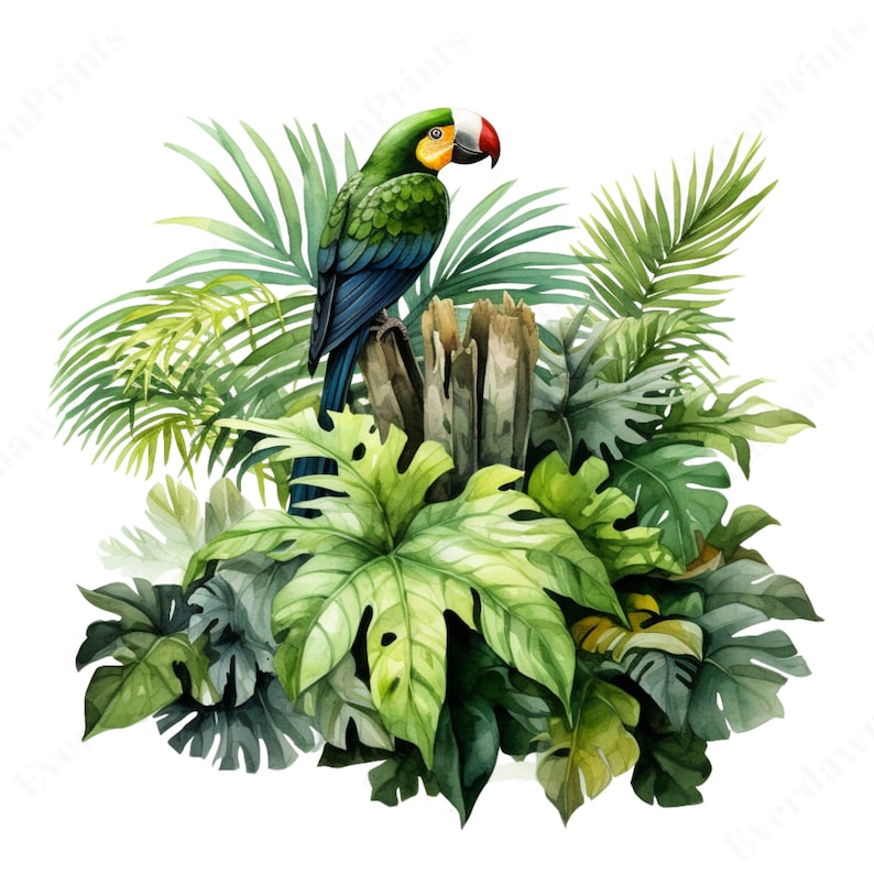 24 Watercolor Tropical Greenery Clipart, Tropical Leaves, Monstera ...