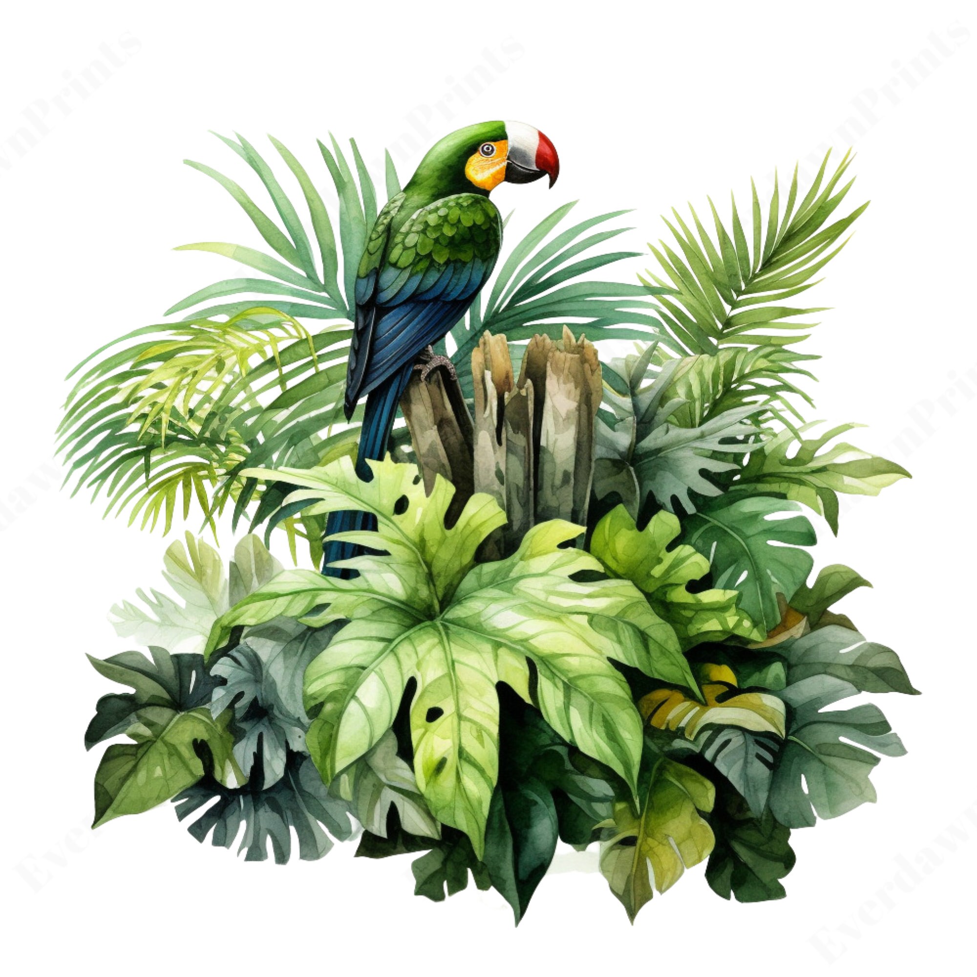24 Watercolor Tropical Greenery Clipart – Lush Jungle Leaves, Monstera ...