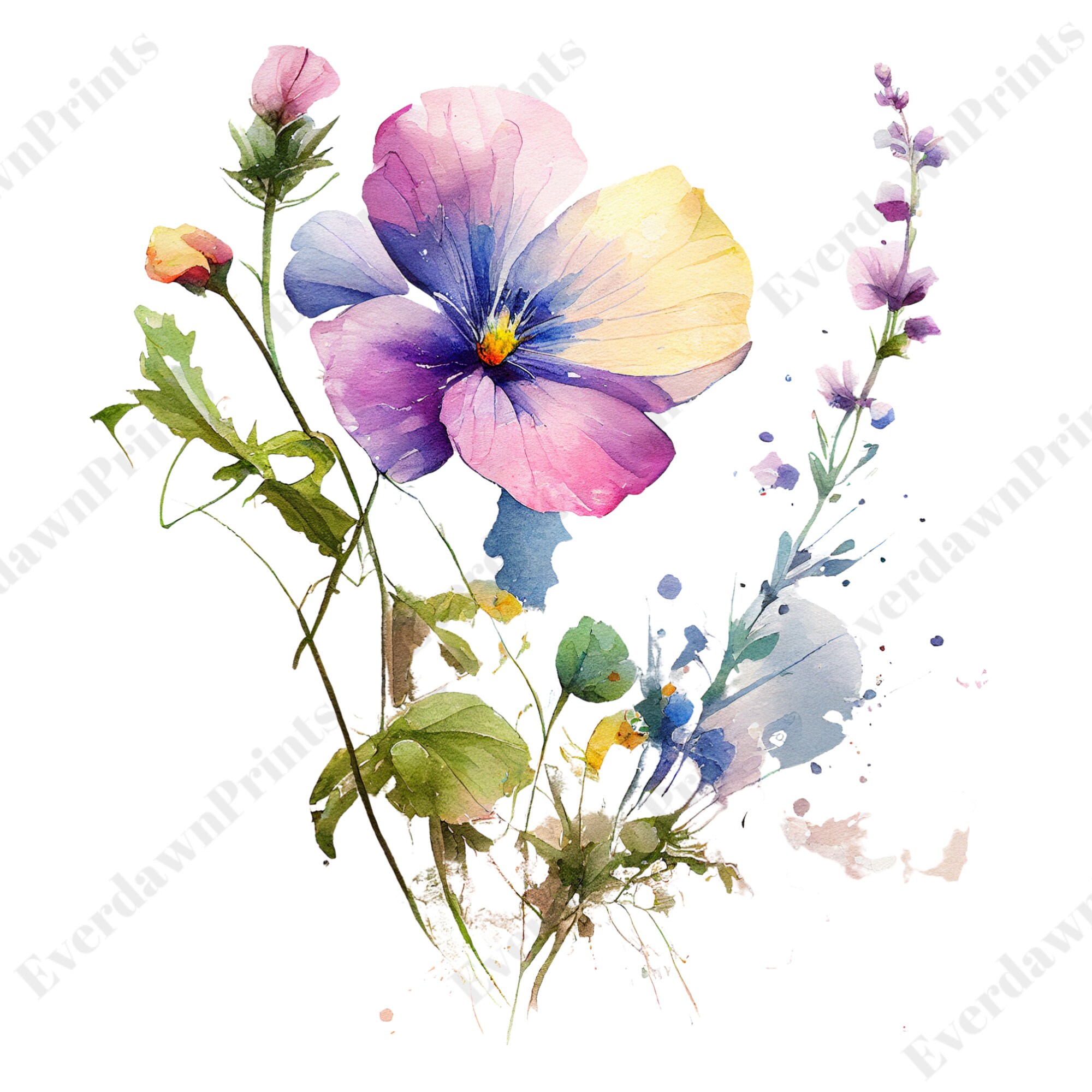 18 Watercolor Meadow Flowers Clipart High Quality PNG Card - Etsy