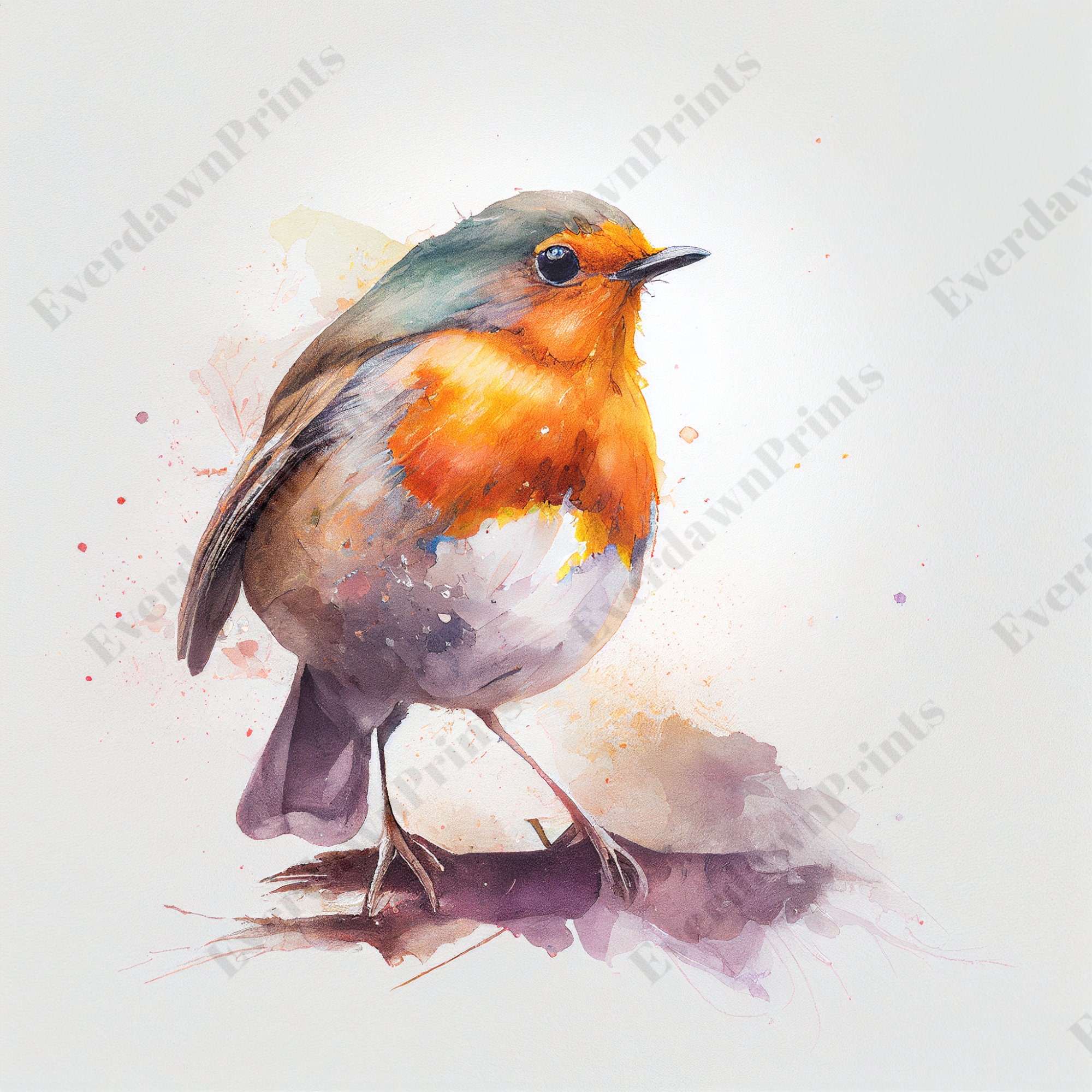12 Robin Clipart, High Quality Transparent Pngs, Nursery Art, Digital ...