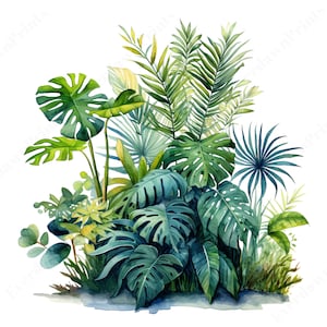 24 Watercolor Tropical Greenery Clipart – Lush Jungle Leaves, Monstera ...