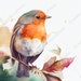 12 Robin Clipart, High Quality Transparent Pngs, Nursery Art, Digital ...