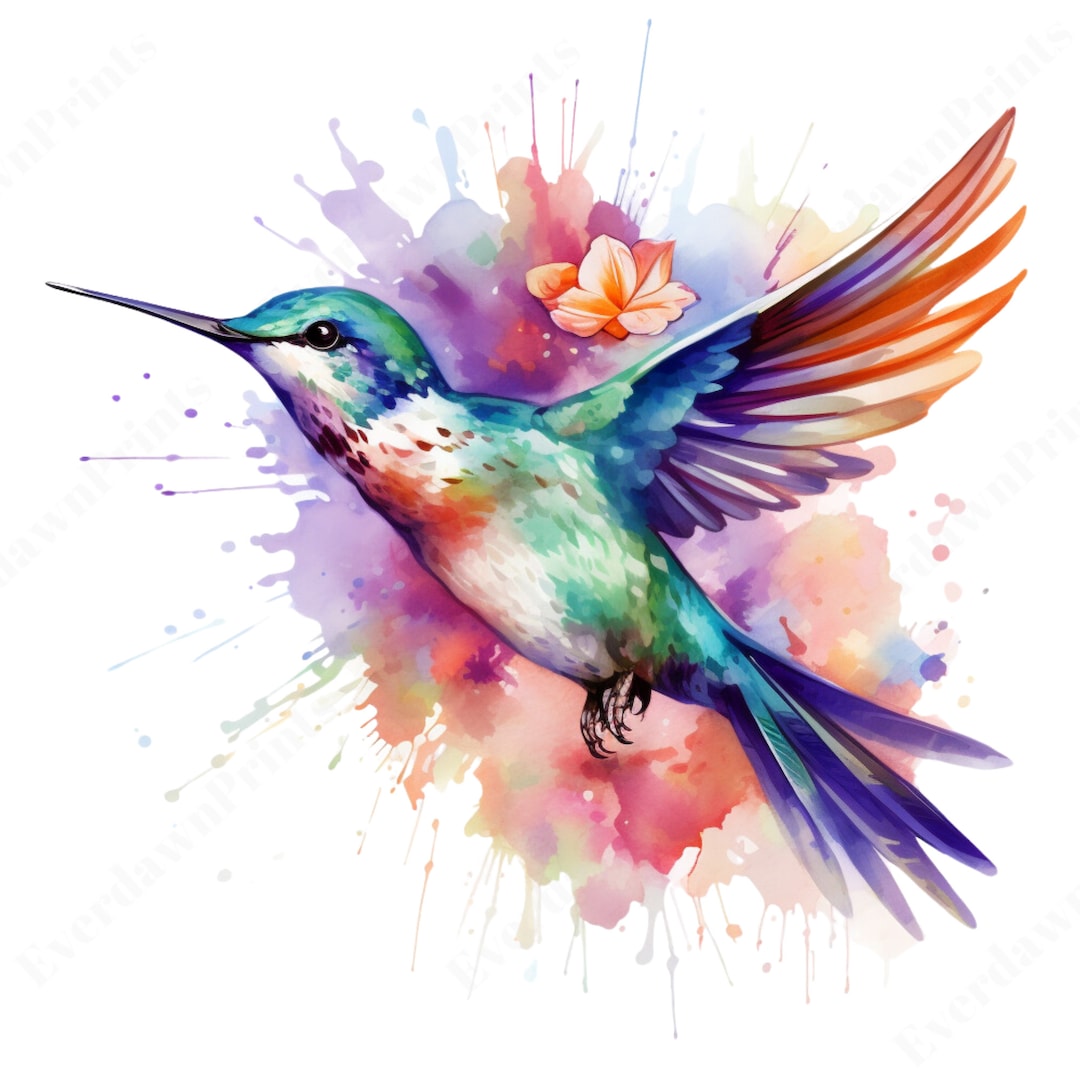 13 Watercolor Hummingbird Clipart, High Quality Transparent Pngs ...