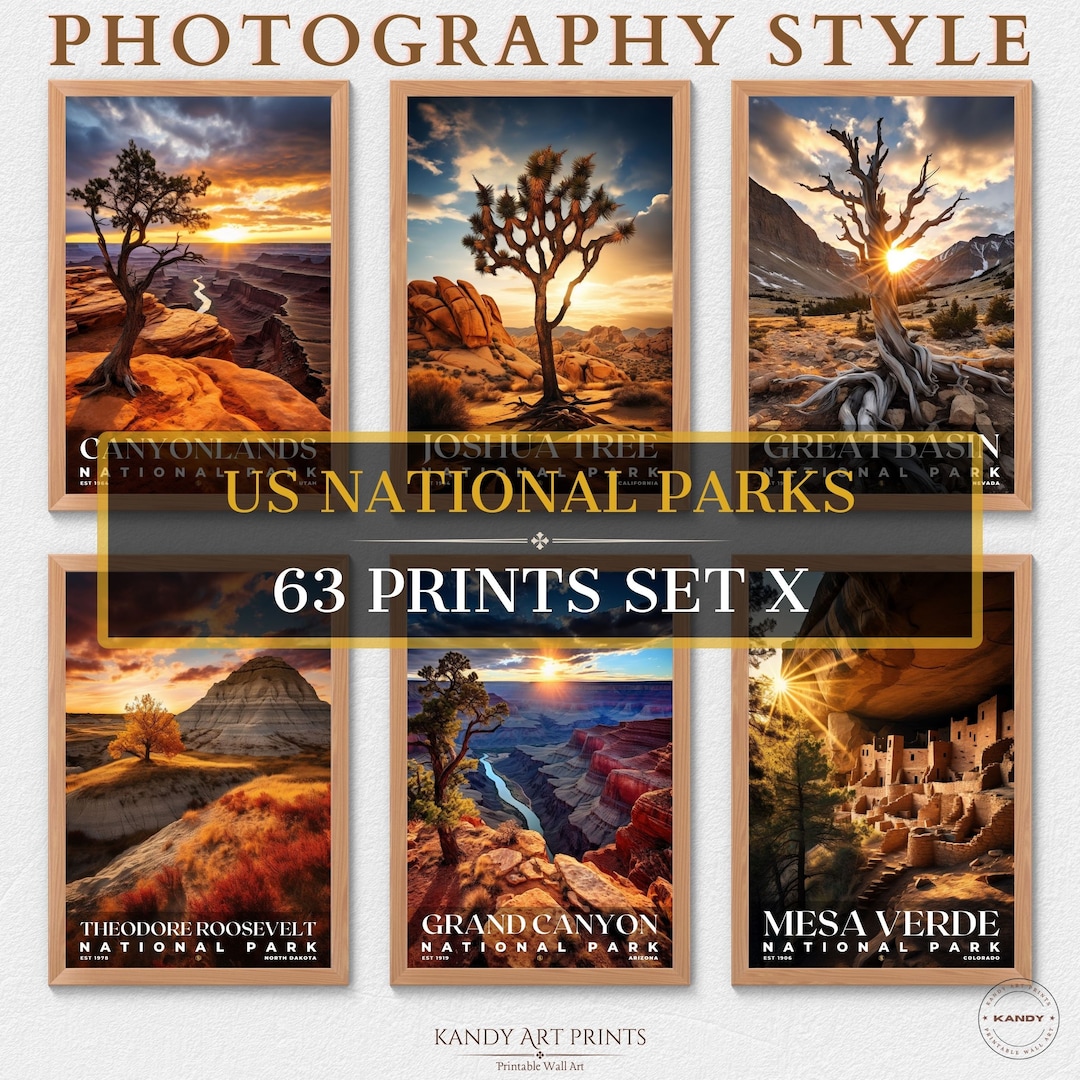 63 US National Park Prints, National Park Poster, Travel Wall Decor ...