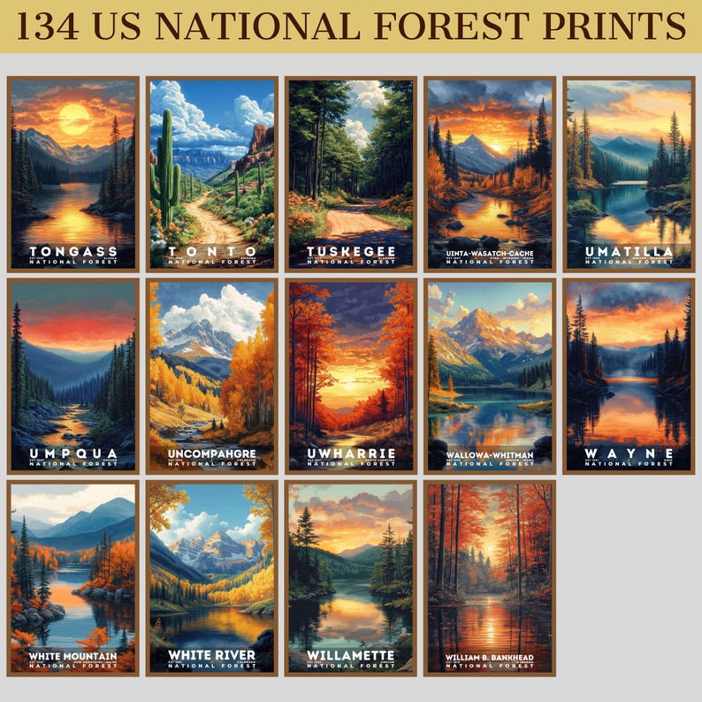 134 US National Forest Prints, National Forest Poster, Travel Wall ...