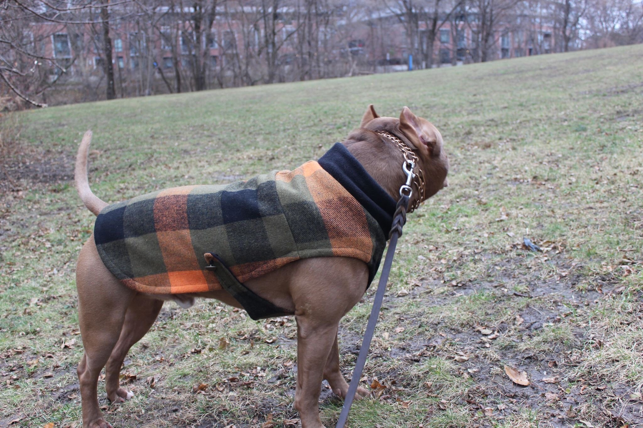 Checkered Harness Dog Coat - Etsy