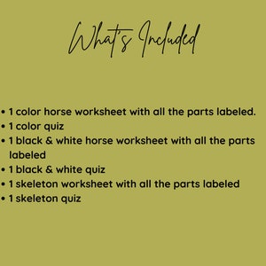 Horse Anatomy Worksheets, Homeschool Horse Anatomy - Etsy