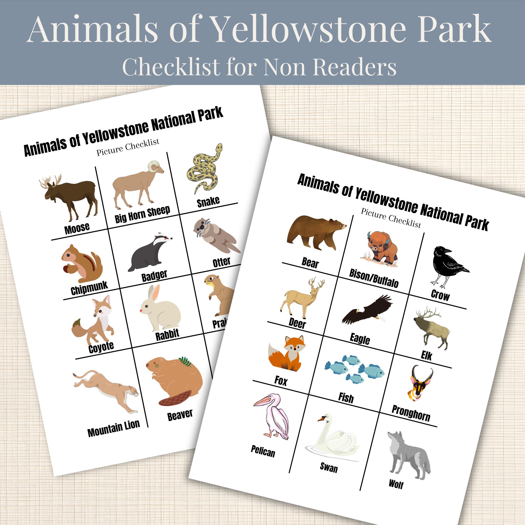 Yellowstone National Park Printable, Animal Checklist - Etsy