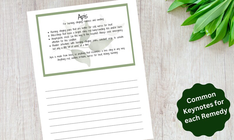 Homeopathy Keynote Notebook Pages, Homeopathy for Moms, Homeopathy ...