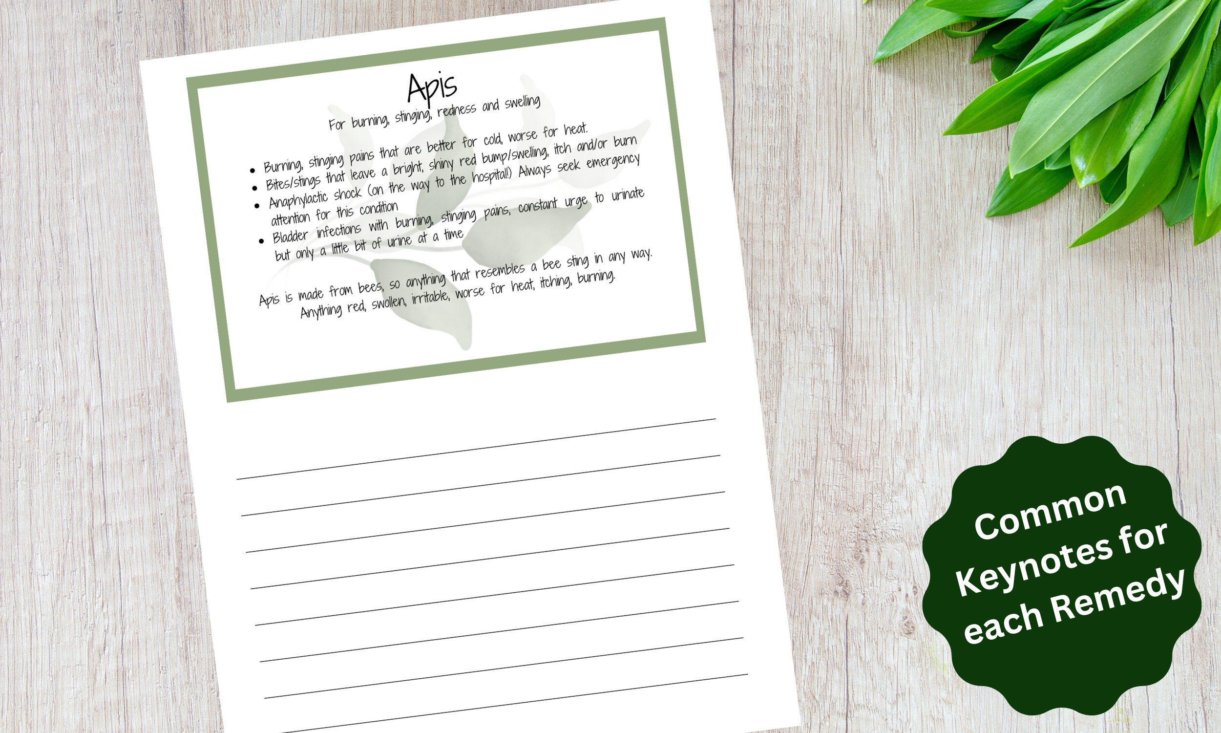 Homeopathy Keynote Notebook Pages, Homeopathy for Moms, Homeopathy ...