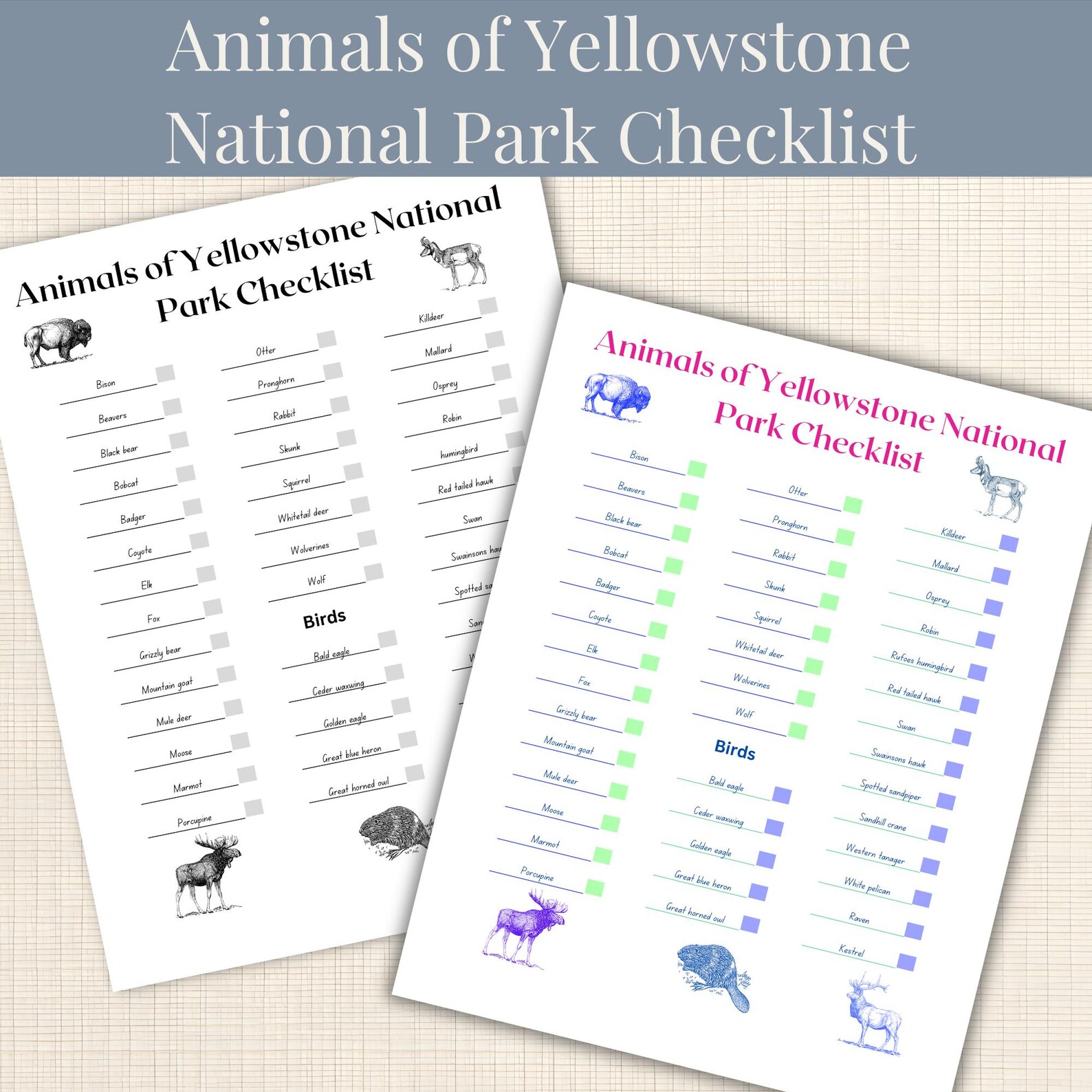 Yellowstone National Park Animal Checklist, Homeschool Nature Printable ...