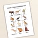 Yellowstone National Park Printable, Animal Checklist - Etsy