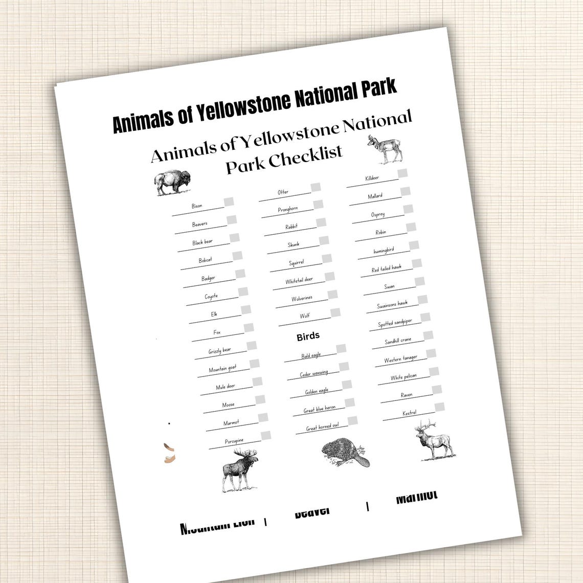 Yellowstone National Park Animal Checklist, Homeschool Nature Printable ...
