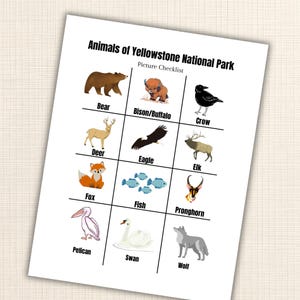 Yellowstone Wildlife Picture Checklist - No Reading Required - Etsy