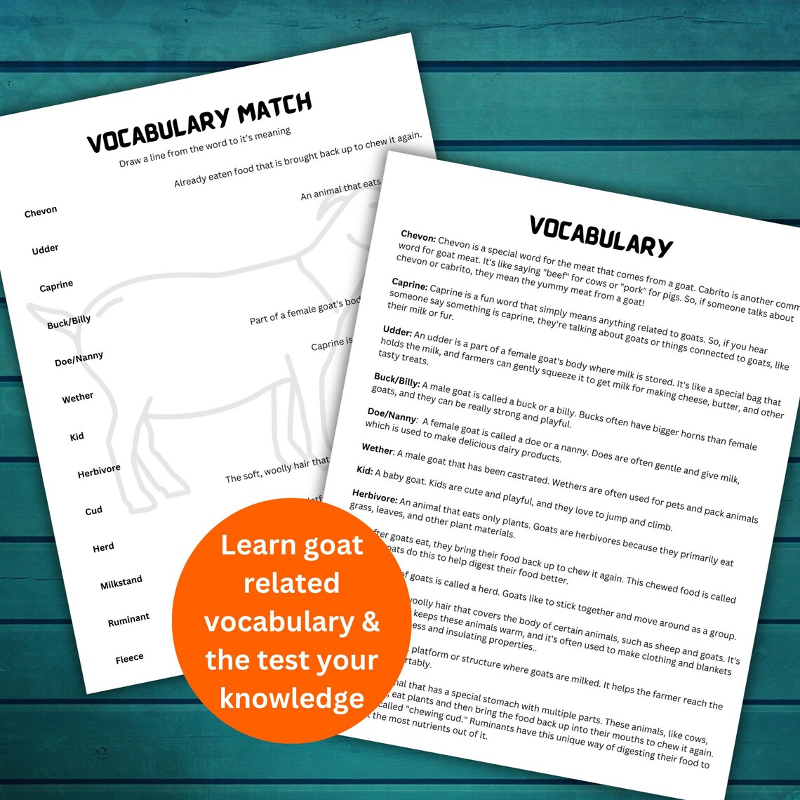 Mini Goat Unit Study, Printable Goat Activities - Etsy