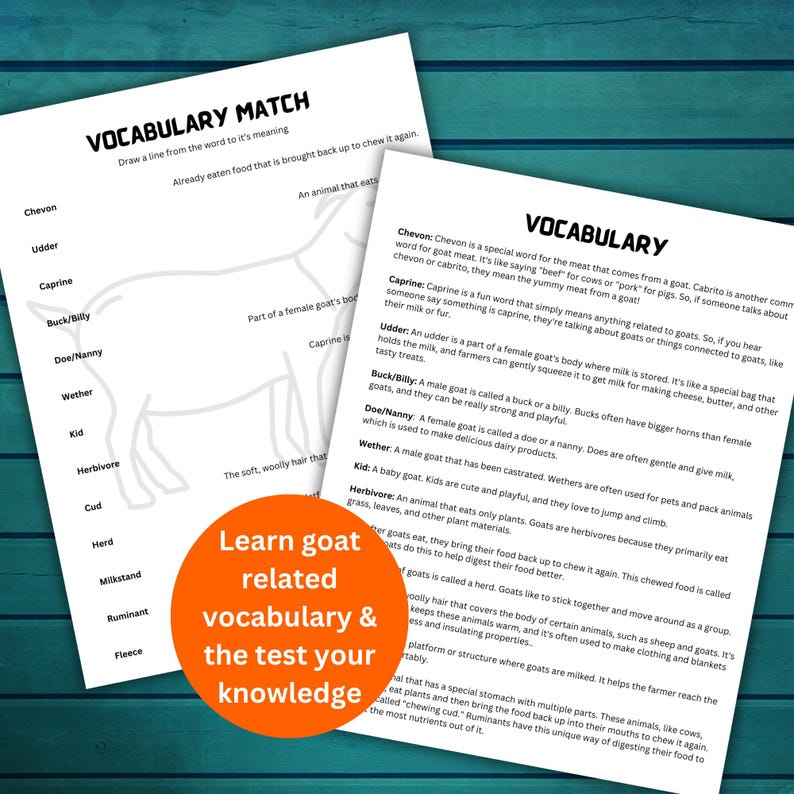 Mini Goat Unit Study, Printable Goat Activities - Etsy