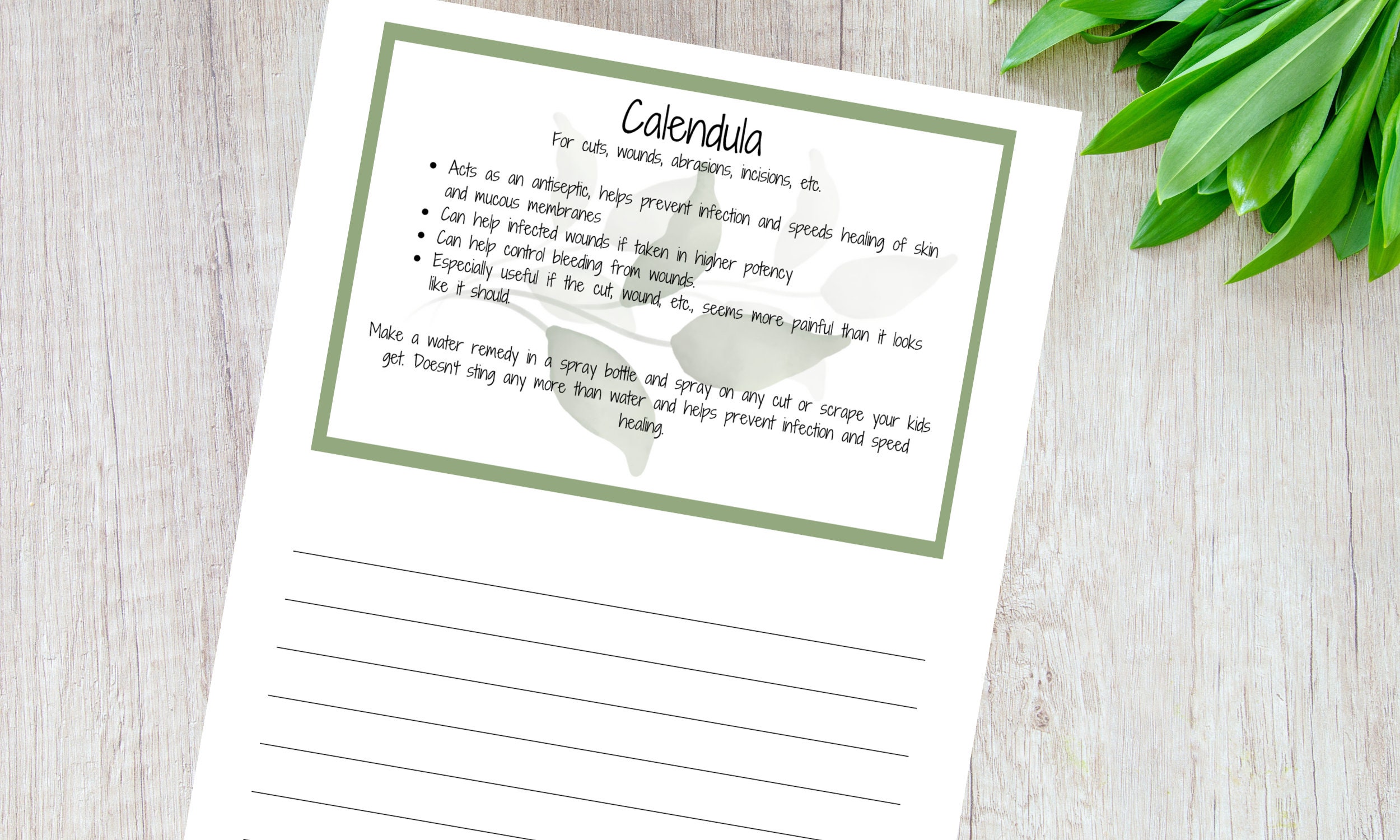 Homeopathy Keynote Notebook Pages, Homeopathy for Moms, Homeopathy ...
