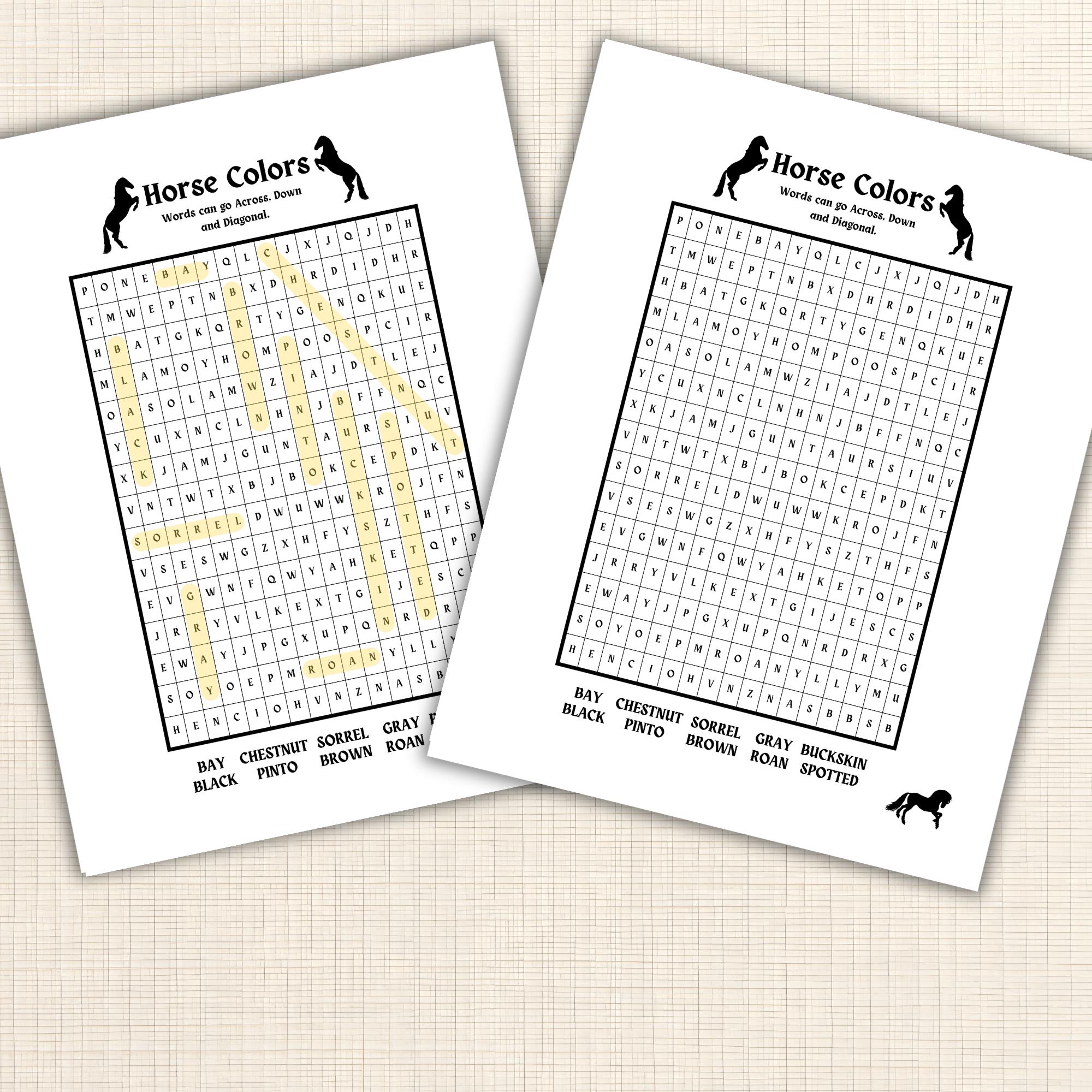 Horse Anatomy Worksheets: Homeschool Learning (digital Download) - Etsy