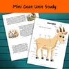 Cow Anatomy, Cow Poster, Farm School Printable, Nature Study, Charlotte ...