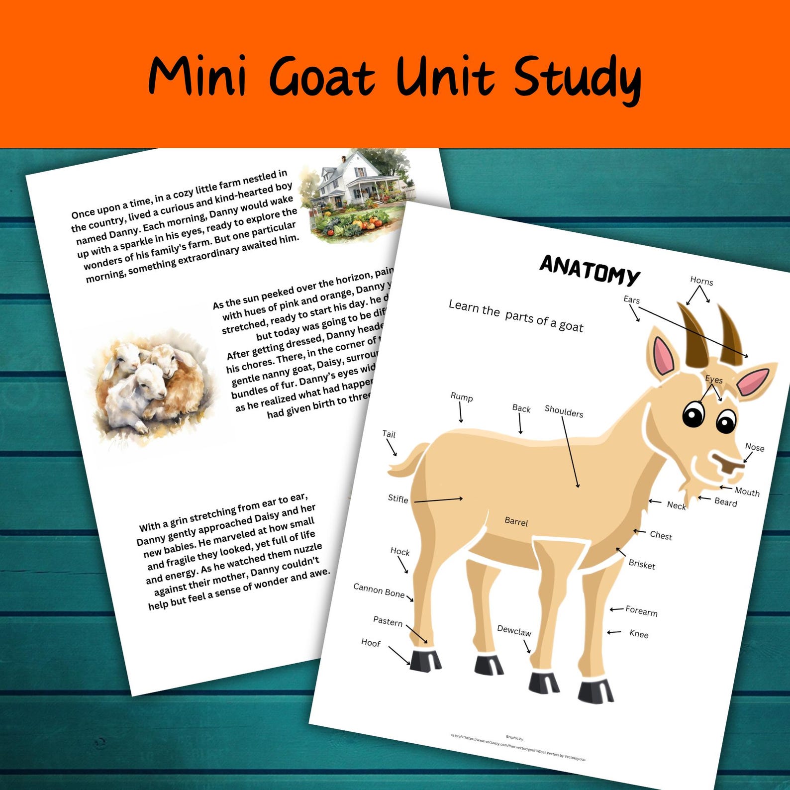 Mini Goat Unit Study, Printable Goat Activities - Etsy