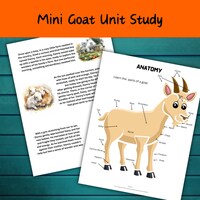PRINTABLE Meat Goat External Anatomy - Level 1 - Etsy