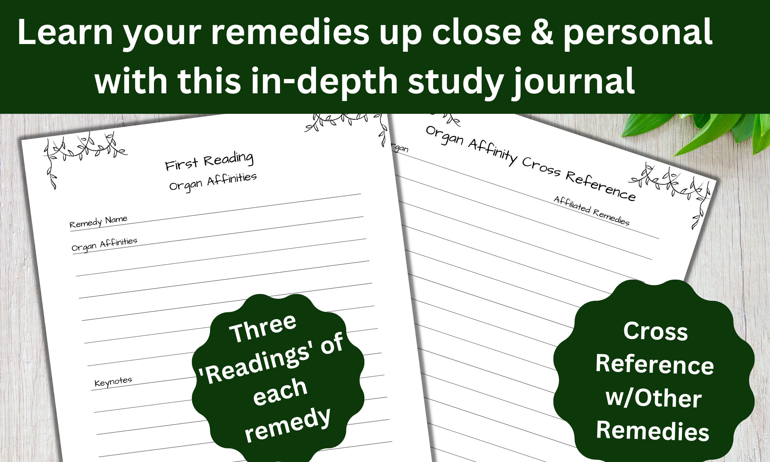 Homeopathy Materia Medica Journal, Printable Remedy Study Guide - Etsy