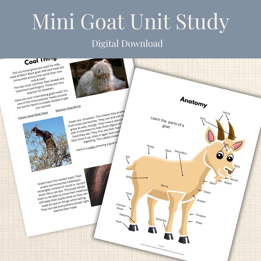 Mini Goat Unit Study, Printable Goat Activities - Etsy