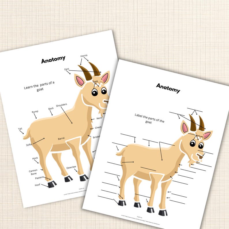 Mini Goat Unit Study, Printable Goat Activities - Etsy