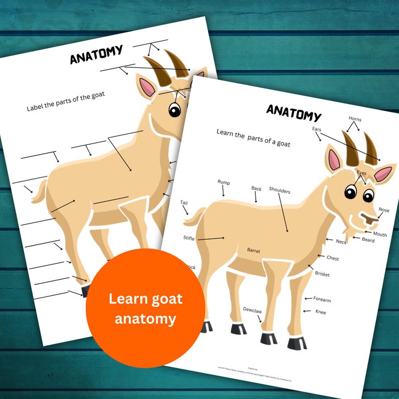Mini Goat Unit Study, Printable Goat Activities - Etsy