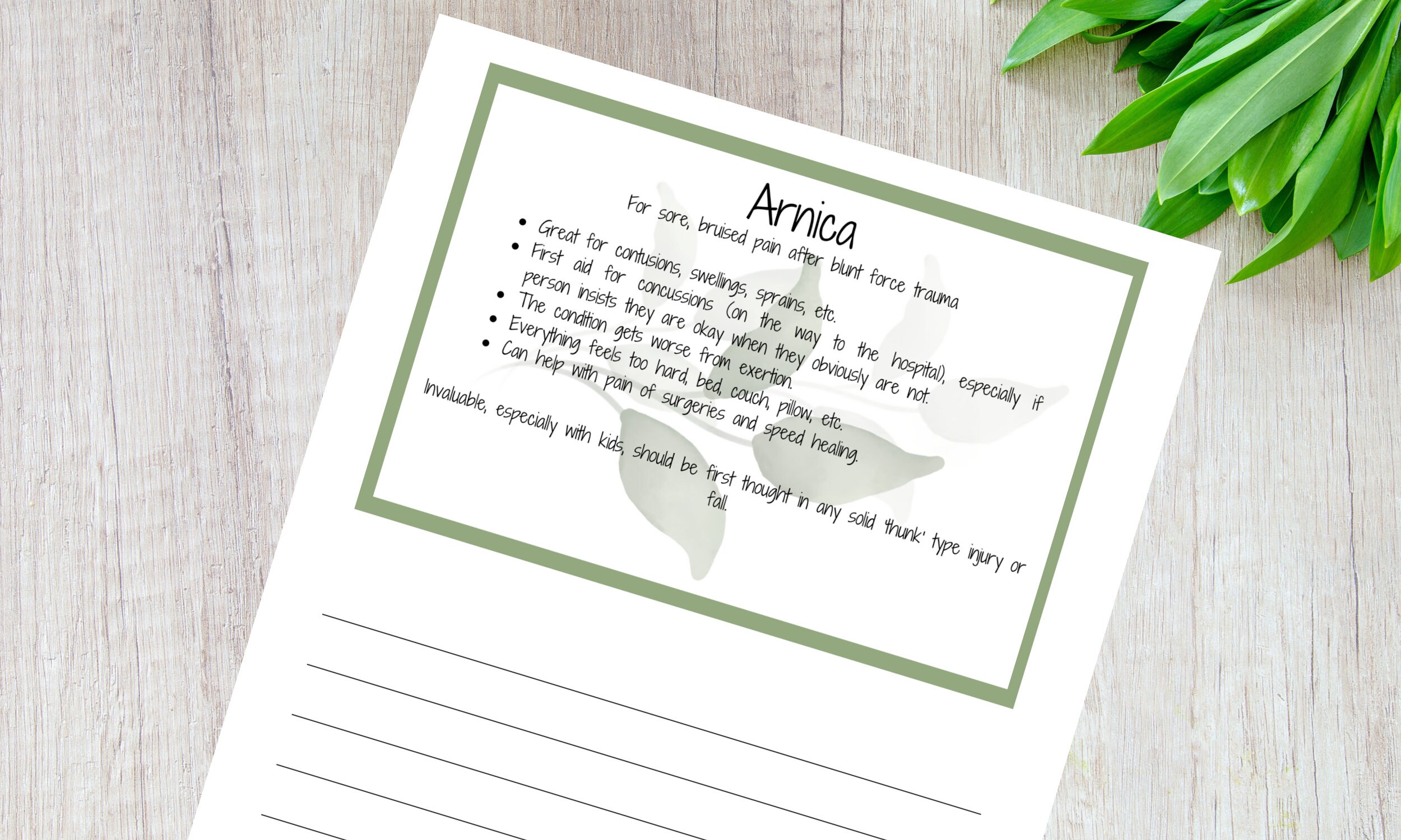 Homeopathy Keynote Notebook Pages, Homeopathy for Moms, Homeopathy ...