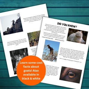 Mini Goat Unit Study, Printable Goat Activities - Etsy