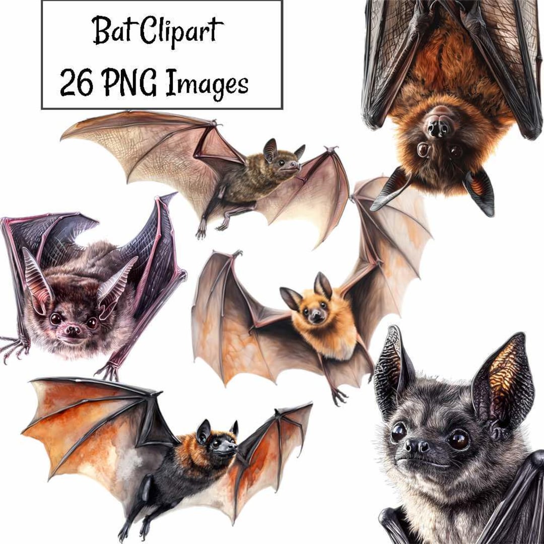 Bats Animal Watercolor Clipart Bat Digital Downloads, Halloween Night ...