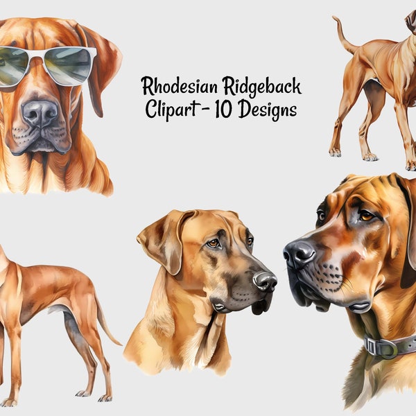 Rhodesian Ridgeback - Etsy UK