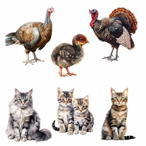 Farm Animal Families Clipart Digital Downloads,42 Mother Father Baby ...