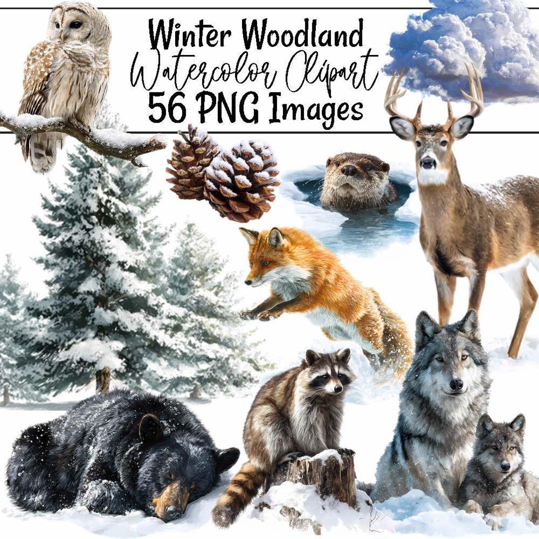 Winter Woodland Clipart Watercolor Animals Forest Art Christmas ...