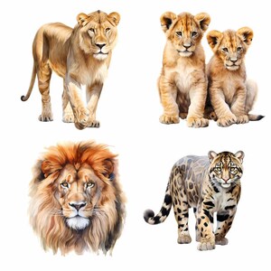 Big Cats Clipart Digital Downloads Watercolor Wild Animal Wildlife ...